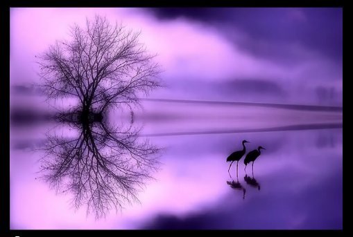 7 Insights into True Silence | SikhNet