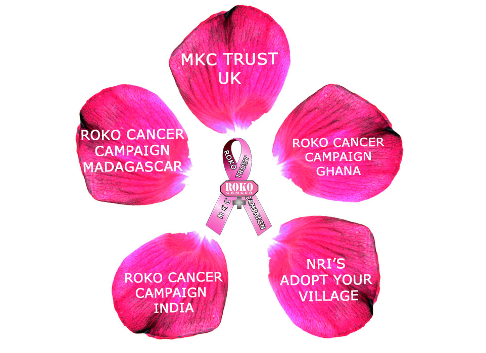 Sunderland’s Sikh community helps beat cancer in India | SikhNet