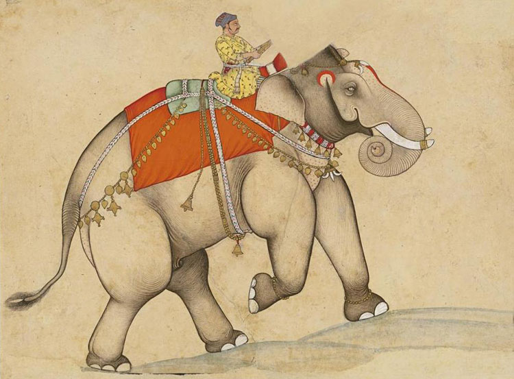 Reflections on the Elephant Mind | SikhNet