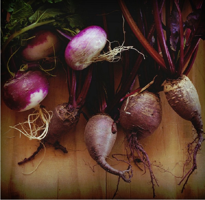 Warning! Never Reheat These 10 Foods, They Can kill Your Family | SikhNet