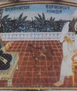 News & Lifestyle | SikhNet