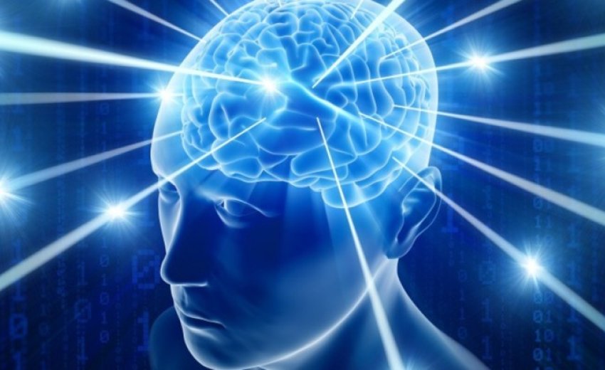 How Meditation Rewires Your Brain | SikhNet