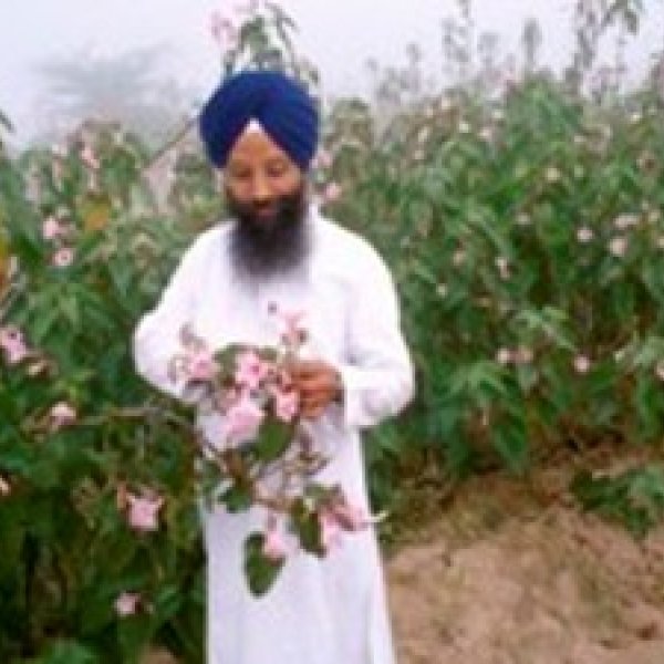 Sikhs to Celebrate their New Year on March 14th as Sikh Environment Day ...