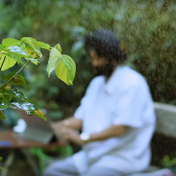 This Tamil-speaking Sikh engineer created a home forest in Chennai ...