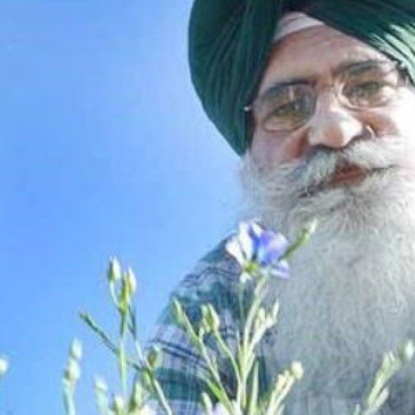 Test Crops Showing Promise at station | SikhNet
