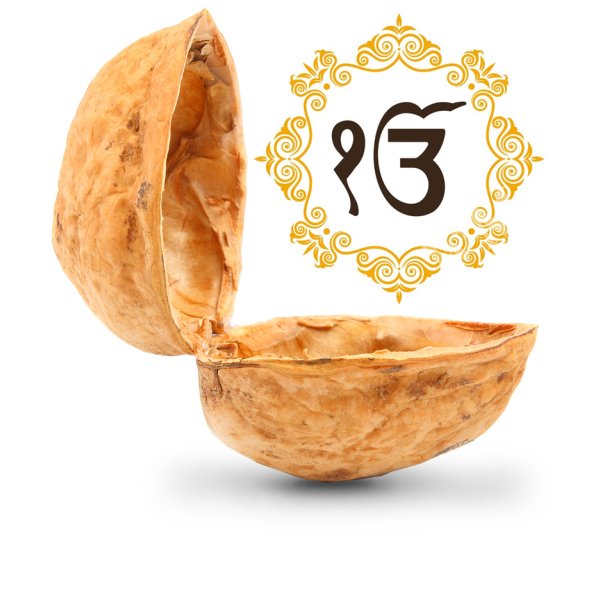 Sikhism in a Nutshell | SikhNet