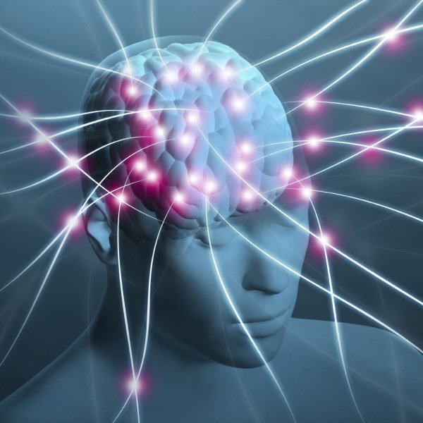 Scientists Discover Immune System In The Brain! | SikhNet