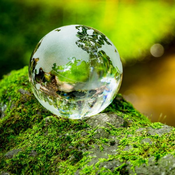 Sikhism & Ecological Issues | SikhNet