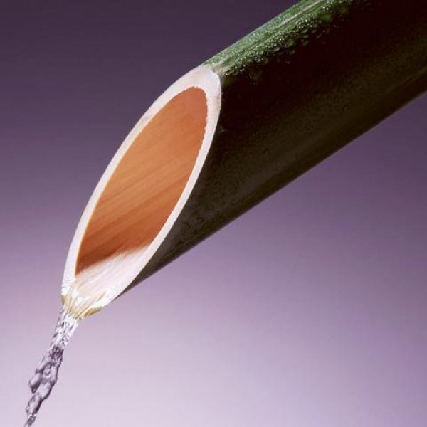 Getting Tubular ~ or How to Overcome the Five Obstacles | SikhNet