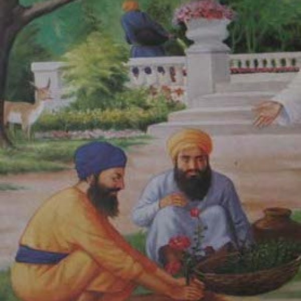 We Want Your "Green" Stories! | SikhNet