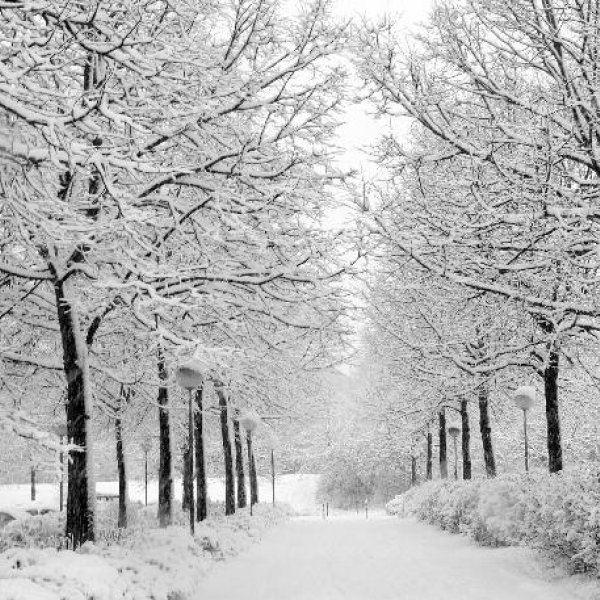 Winter Chill | SikhNet