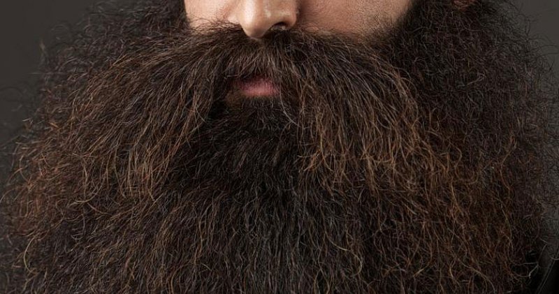 Sikh Grooming Label Bringing Pride Back In The Beard | SikhNet