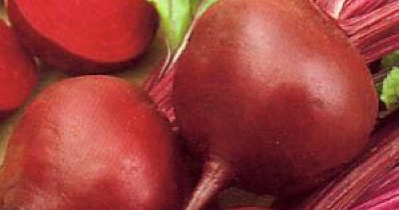 Daily dose of beet juice promotes brain health in older adults | SikhNet