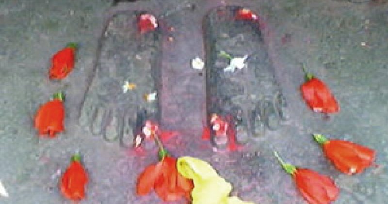 Millions Touch the Guru's Feet | SikhNet