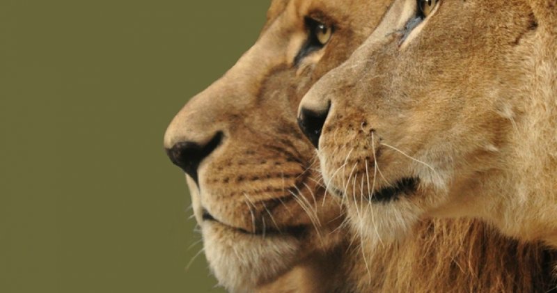 Sikh Names: Beyond Gender, Caste And Patriarchy | SikhNet