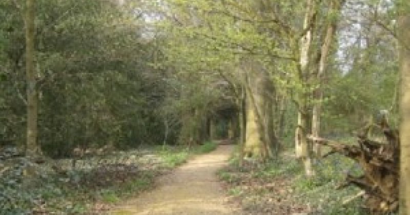 Steve Jobs was right about walking | SikhNet