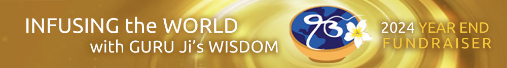 The Meaning of Khalsa Colours | SikhNet